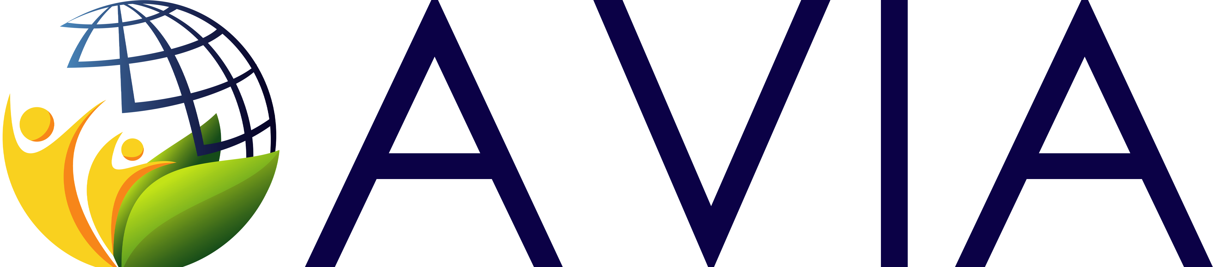 AVIA Corporation